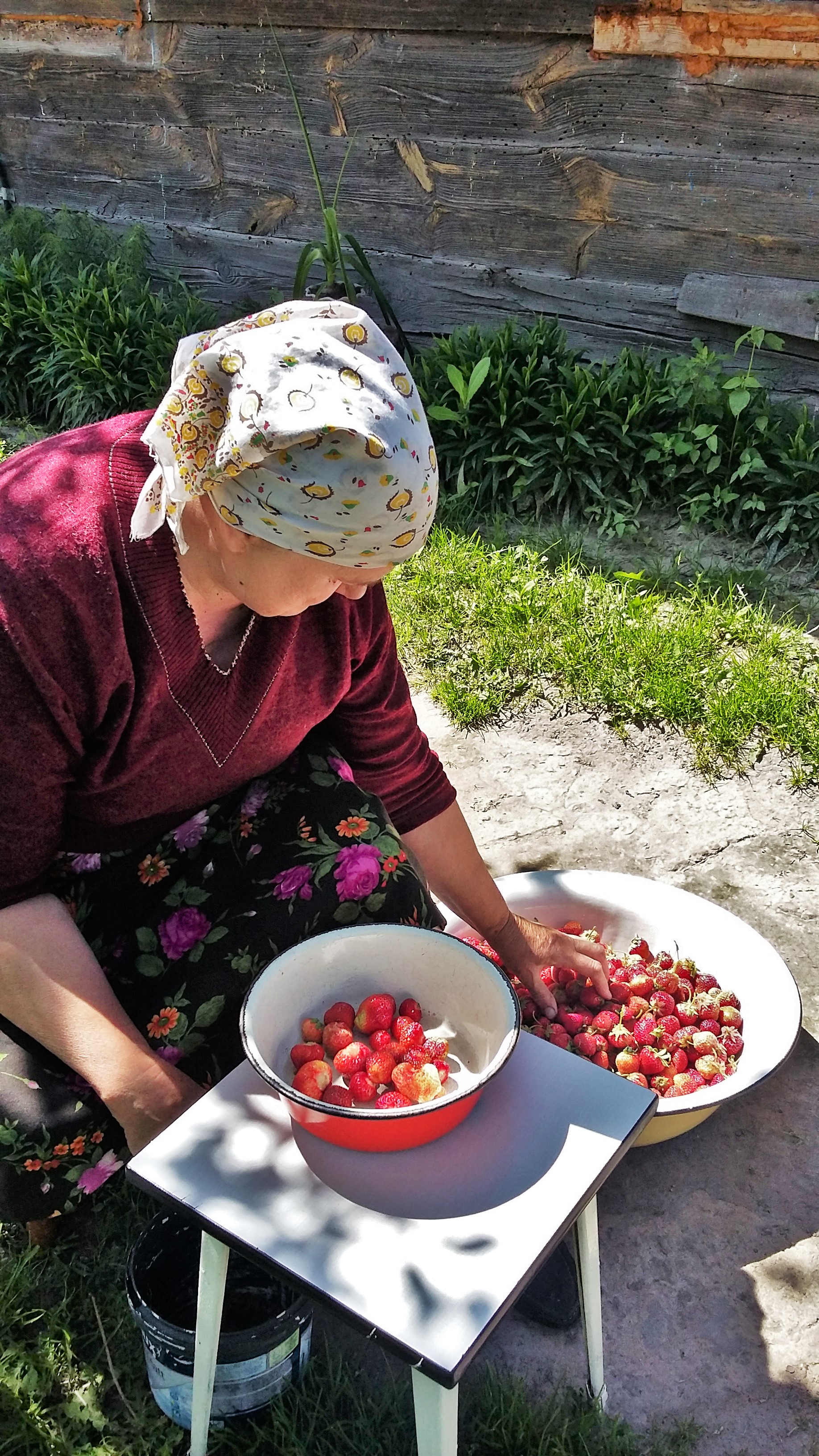 Fieldwork on West Polesian – The Philological Society Blog